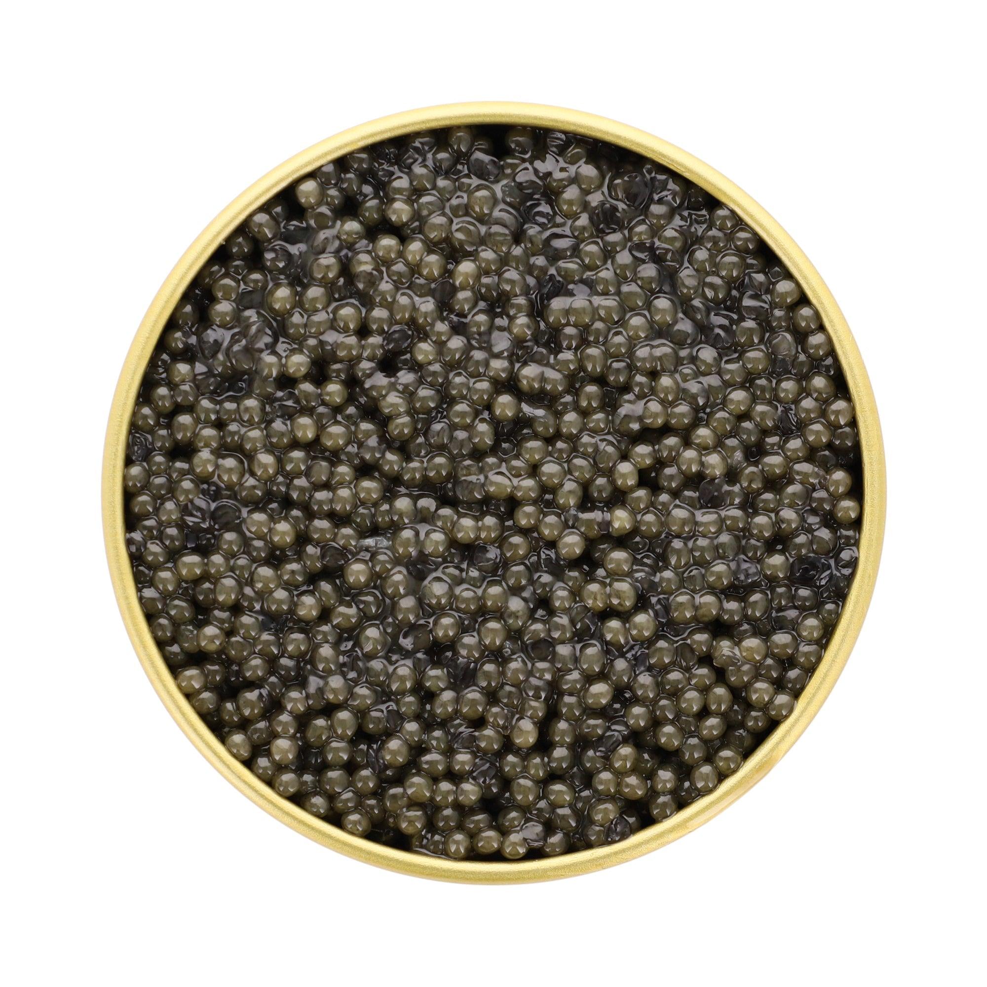 Black Pearl Caviar Paddlefish, Polyodon Spathula - Petrovich Caviar